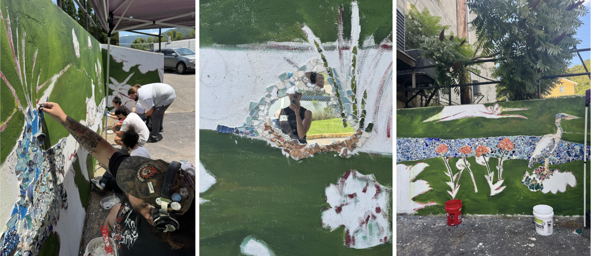 Disaster Resilience Through Art in Appalachia – Central Appalachian Network